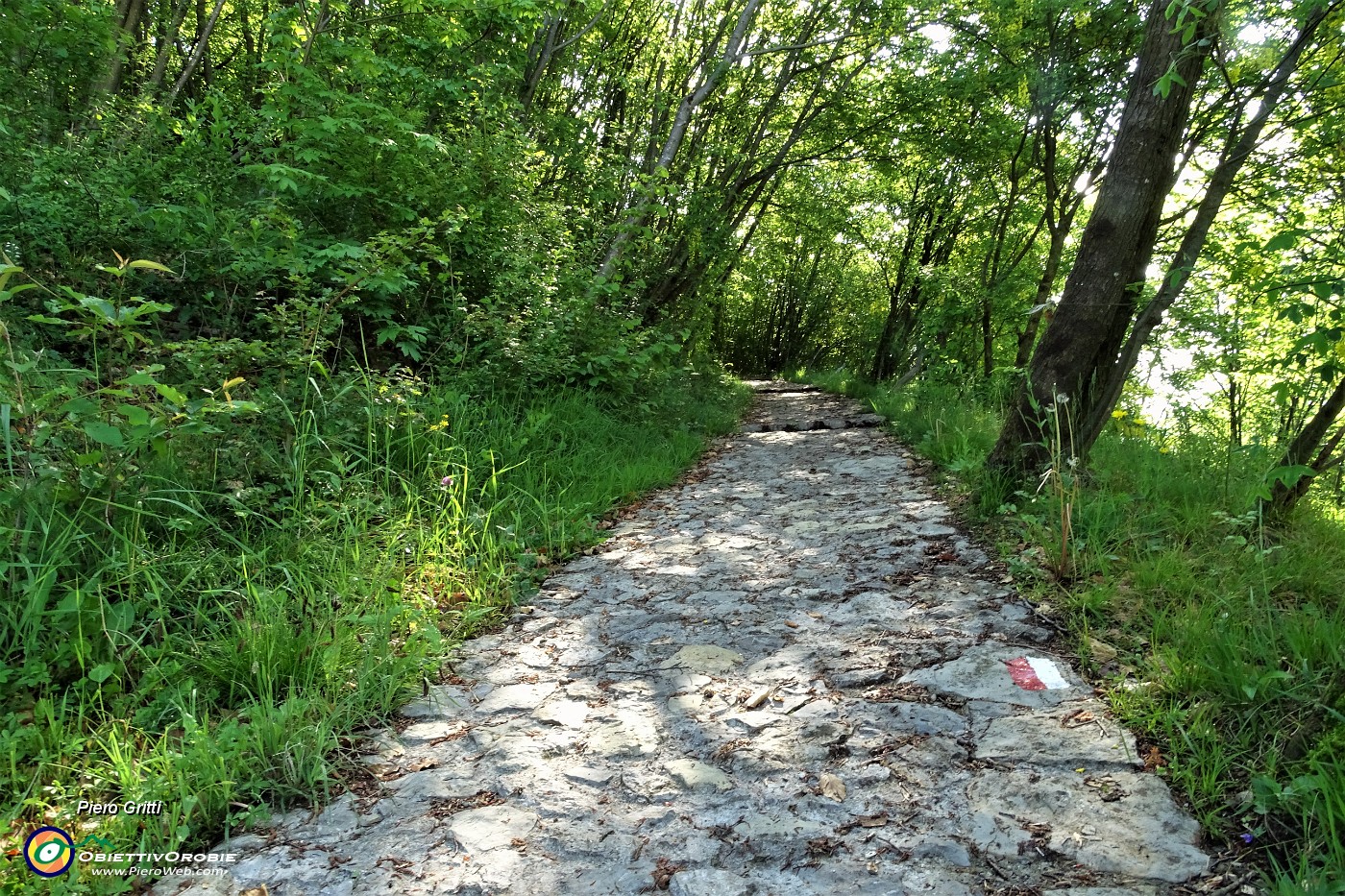 Al Perello sul sent. CAI 514 e al Monte Castello da casa, da Zogno il ...