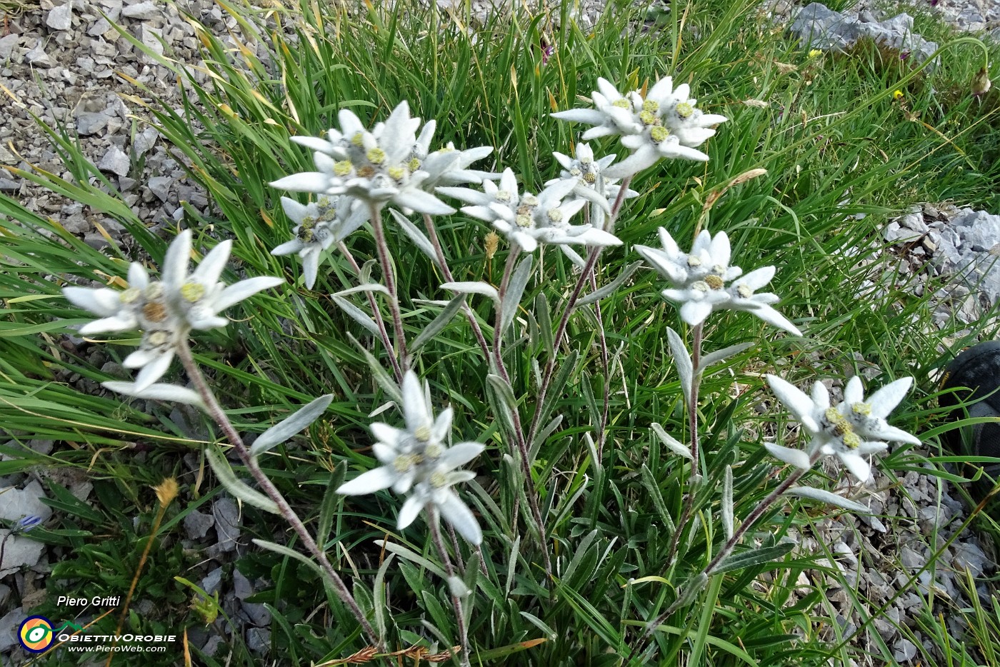 Periplo del Pizzo Arera con salita alla Corna Piana (2302 m) il 19 ...