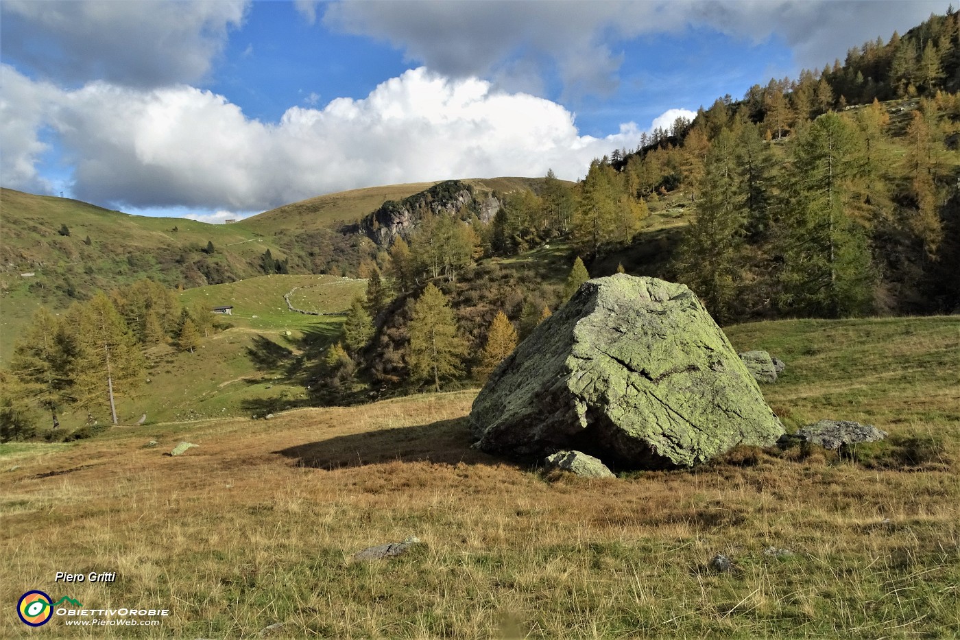 Erratico Significato