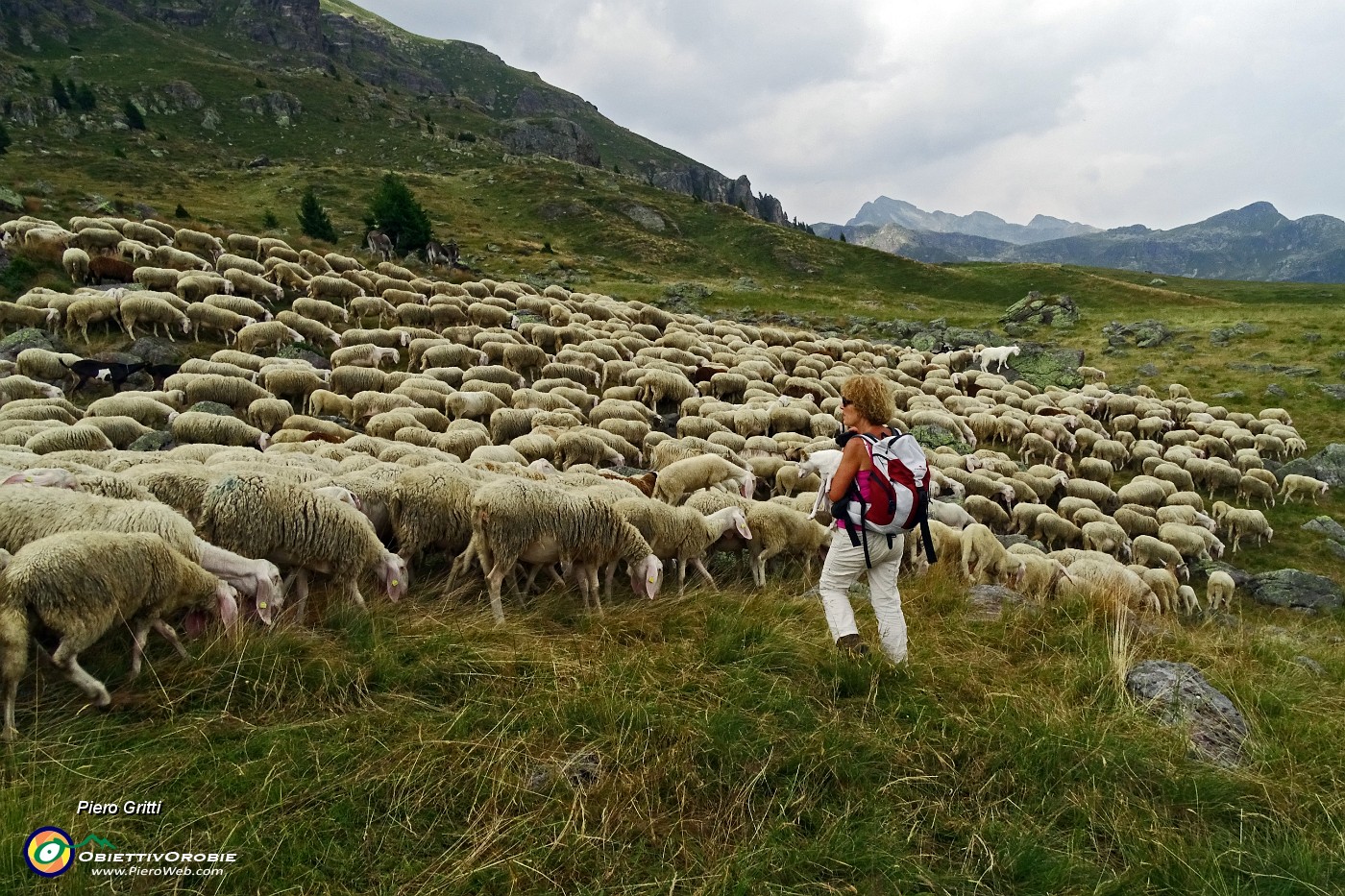 Tre Pizzi e Pietra Quadra dalla conca di Mezzeno il 22 luglio 2015/87 ...