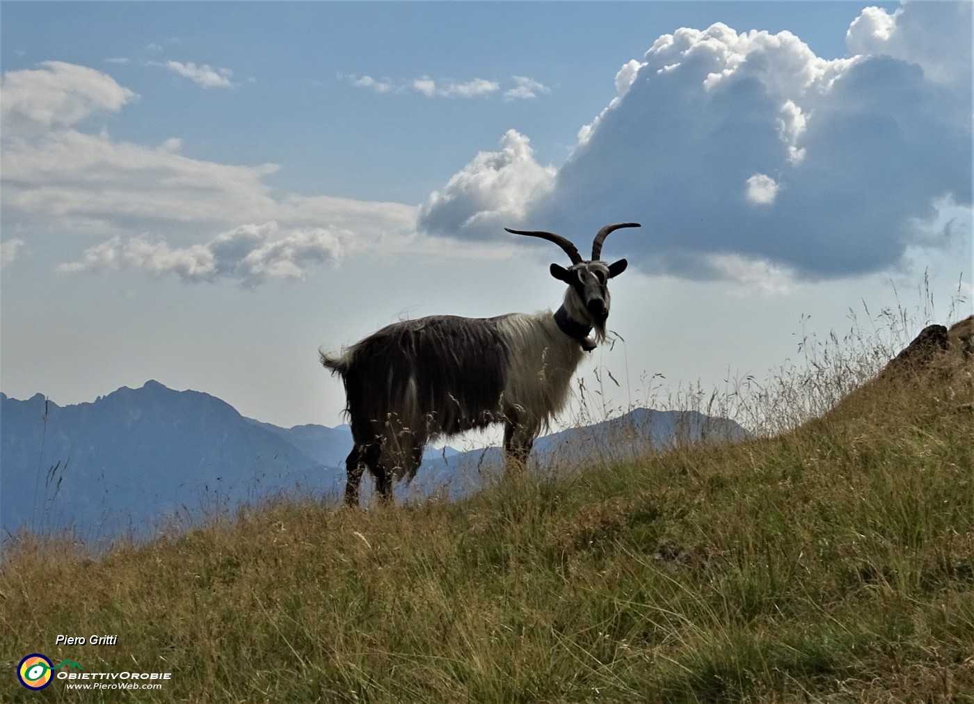 Ritorno sul Monte Valletto (2371 m) con Avaro (2080 m), Monte di Sopra ...