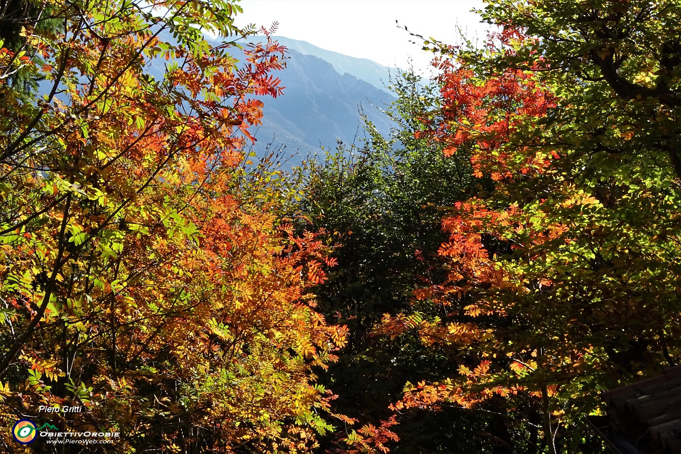 Autunnale sul MONTE VENTUROSA (1999 m) il 9 ottobre 2017/12 Colori ...