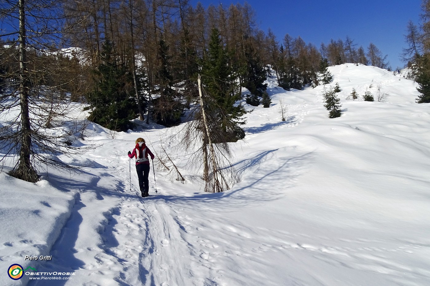 Invernale sul Pizzo di Petto da Colere-Malga Polzone il 19 marzo 2015/ ...