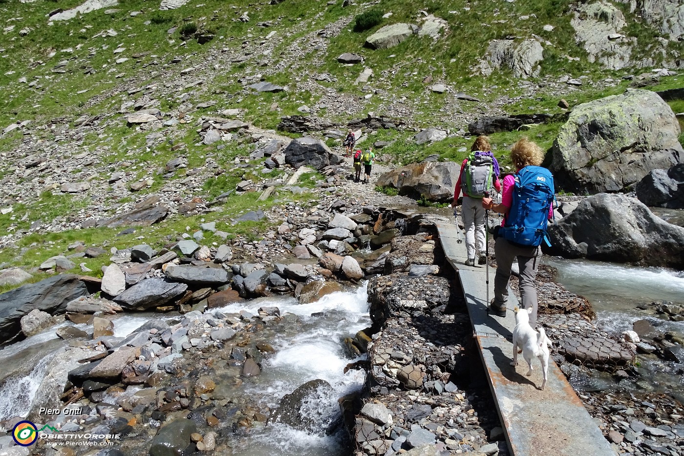 PIZZO STRINATO (2836 m) da Valbondione il 6 agosto 2016/32 Ponticello ...