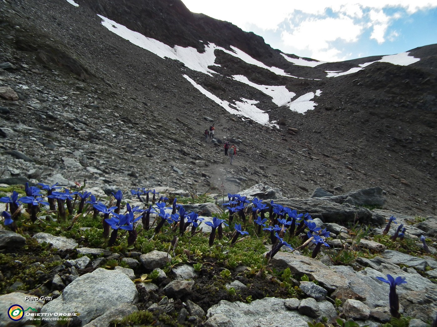 Al Rifugio Quinto Alpini (2877 m) con traversata al Rif. Pizzini dal ...