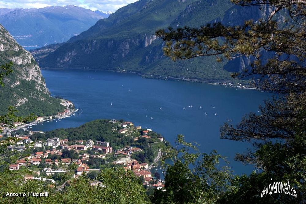 Al Monte Barro, parco naturale ricco di flora spontanea e bel balcone ...