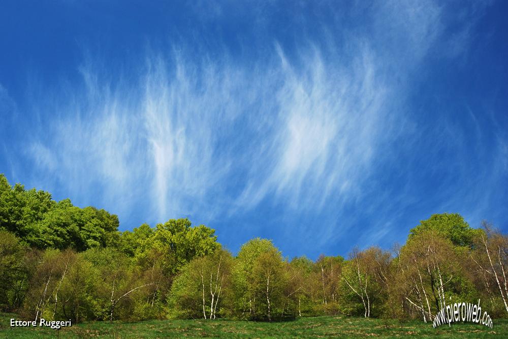 ESCURSIONE AL DUE MANI 16 maggio 2010/6 - cirri