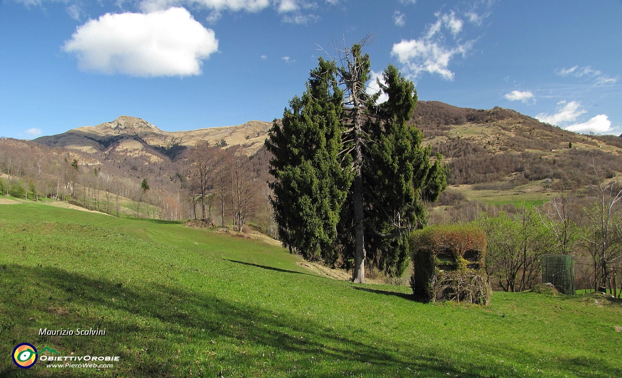 CORNO ZUCCONE/09 Prima di immergermi nel bosco, uno sguardo verso il ...