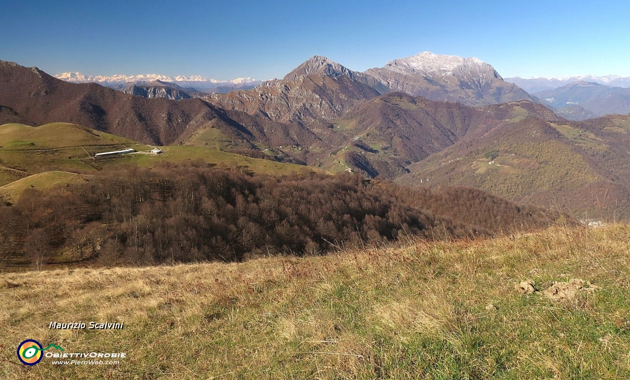 ZUC DI VALBONA - PIAZZOLI E L'AUTUNNO DEI SUOI LARICI/28 Panorama verso ...