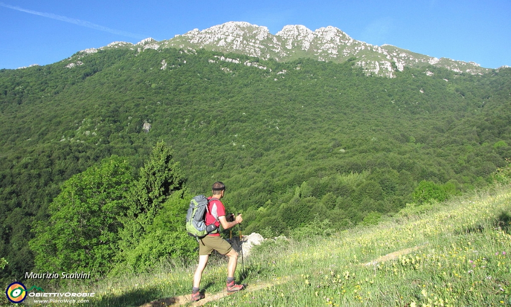CRESTA NORD DEL RESEGONE - Sentieri 582 e 8/04 Ecco il Resegone.