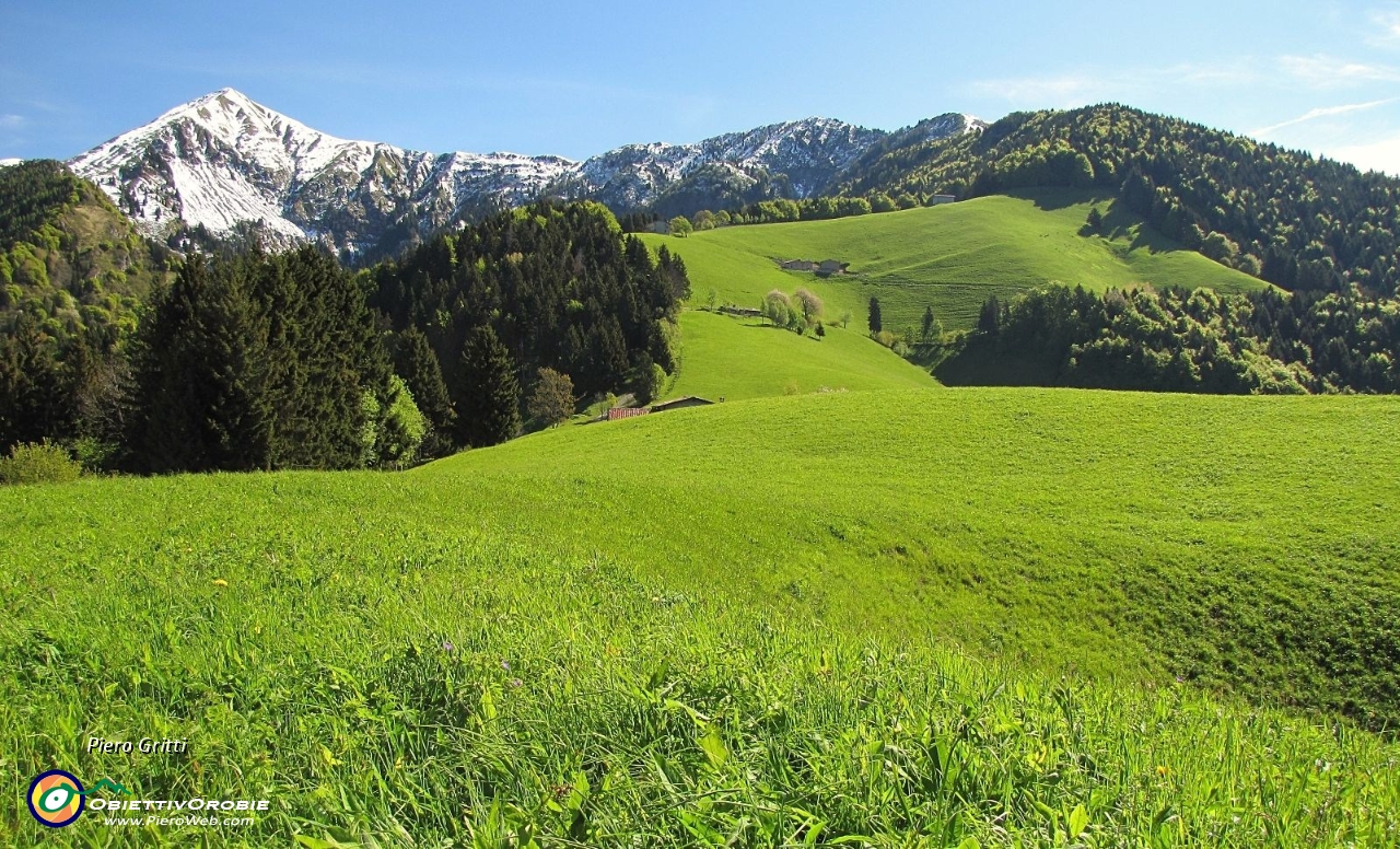 VALZURIO - TIMOGNO/15 I grandi prati del Colle Palazzo...
