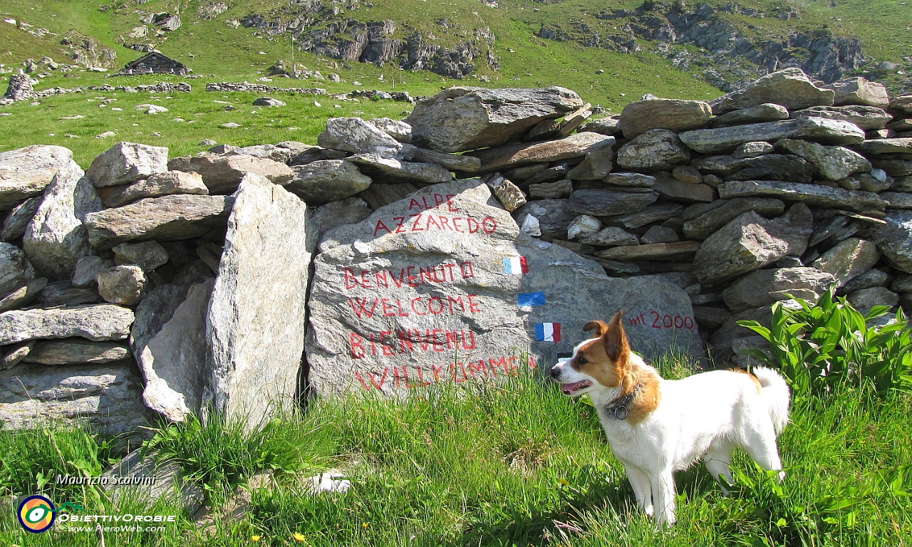 BIVACCO ZAMBONI - PIZZO DEL VENTO - MONTE TARTANO/20 Ci accoglie un ...